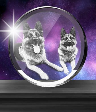 3D Crystals by Teddy & Finn | 3D Pet Crystals & Photo Crystals