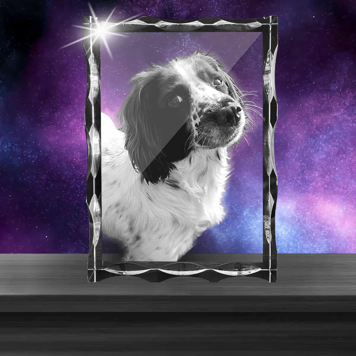 3D Notched Crystal Tall - Teddy & Finn